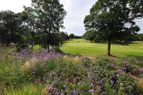 The Duke Golf - Golf Nederland • Pin High