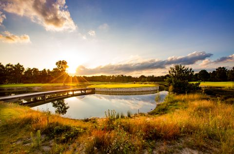 The Duke Golf - Golf Nederland • Pin High