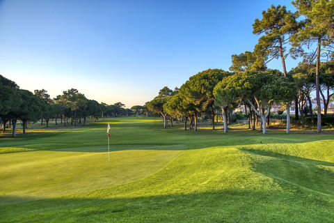 Pinhal - Golf Portugal • Pin High