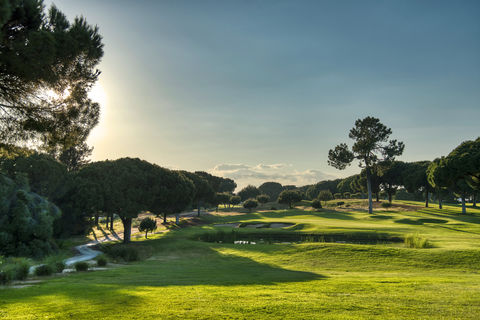 Pinhal - Golf Portugal • Pin High