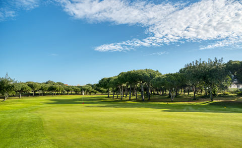 Pinhal - Golf Portugal • Pin High