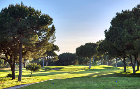 Pinhal - Golf Portugal • Pin High