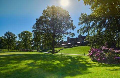 The Duke Golf - Golf Nederland • Pin High