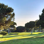 Pinhal - Golf Portugal • Pin High
