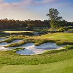 The Duke Golf - Golf Nederland • Pin High