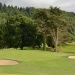 Woodenbridge Golf Course - Golf Ierland • Pin High